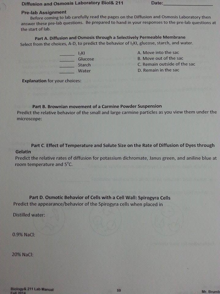 Pre-lab Assignment Before coming to lab carefully | Chegg.com