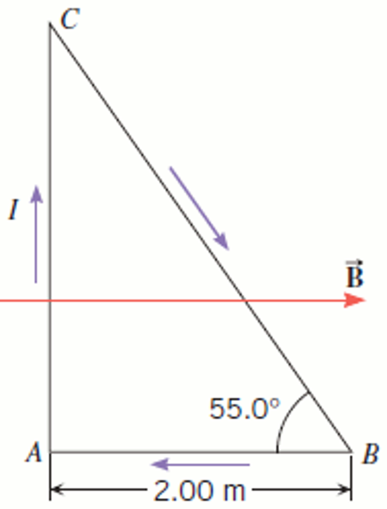 Solved A loop of wire has the shape of a right triangle (see | Chegg.com