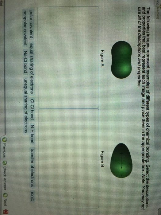 Solved The following images represent examples of different | Chegg.com