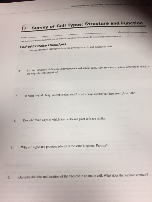 Solved List two structural differences between prokaryotic | Chegg.com