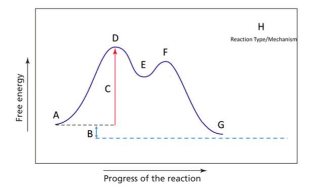 Solved Consider the following reaction conditions. Draw the | Chegg.com