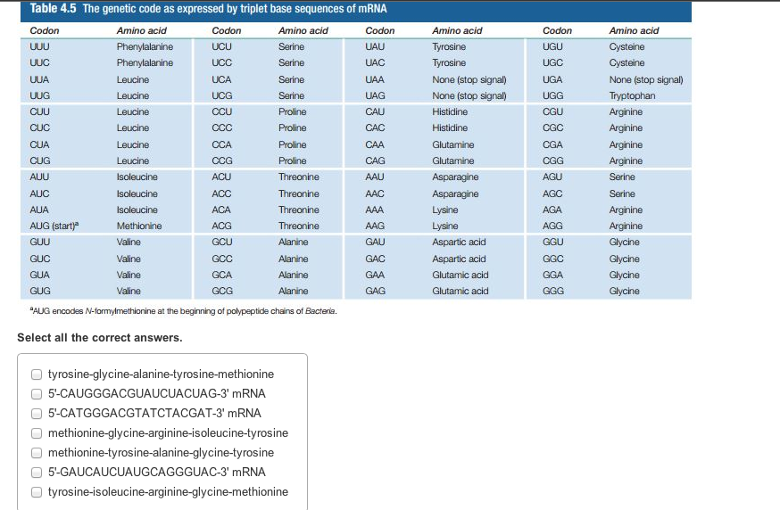 Solved Trace the path of genetic information from DNA to | Chegg.com