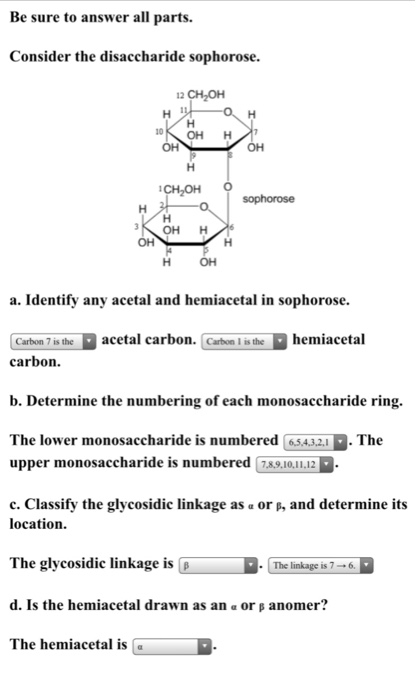 Solved Consider the disaccharide sophorose. Identify any | Chegg.com