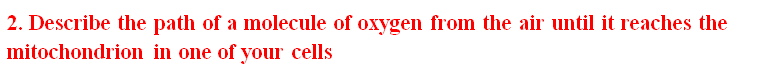 Solved Describe the path of a molecule of oxygen from the | Chegg.com