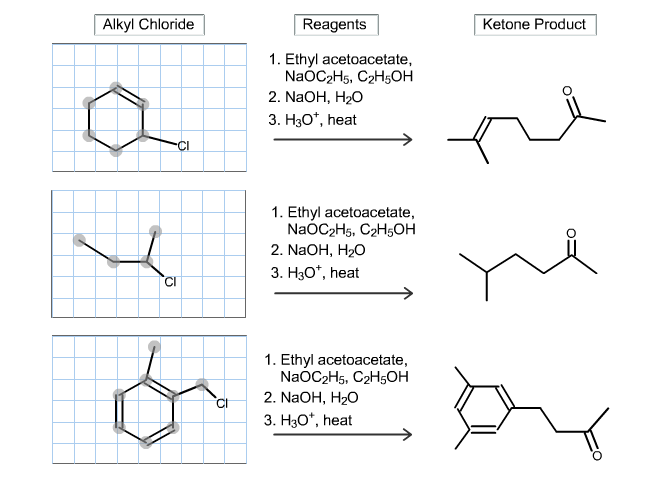 Solved The acetoacetic ester synthesis is a method for | Chegg.com