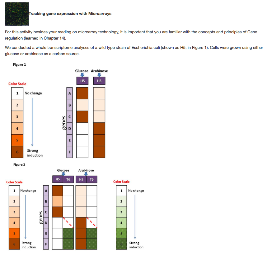 Solved Tracking gene expression with Microarrays. This is | Chegg.com