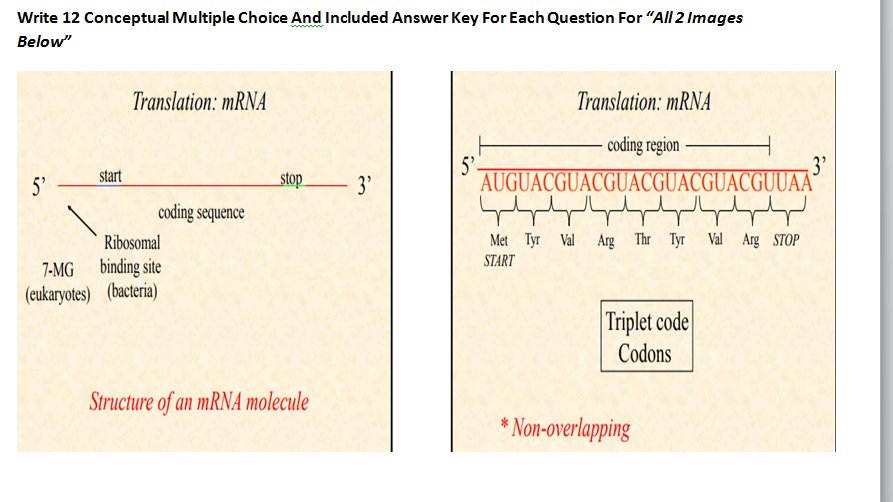 Solved Note: Write 12 Conceptual Multiple Choice And | Chegg.com
