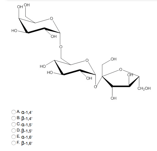 Solved Raffinose, shown below, is a trisaccharide. What | Chegg.com