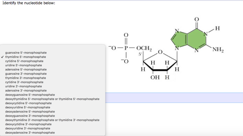 Solved Identify the nucleotide below: O-P OCH guanosine | Chegg.com