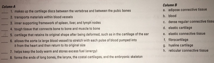 Solved Match the description listed in column a with the | Chegg.com