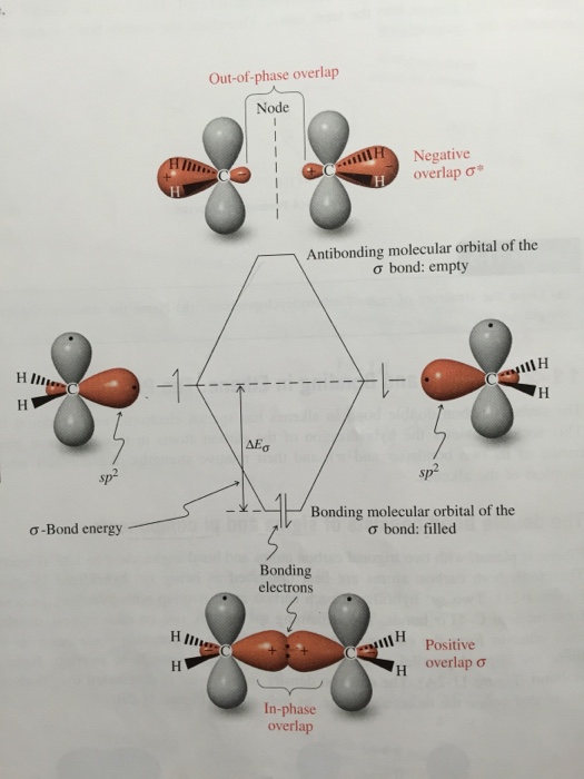 Solved Out-of-phase overlap Node Negative overlap σ* | Chegg.com