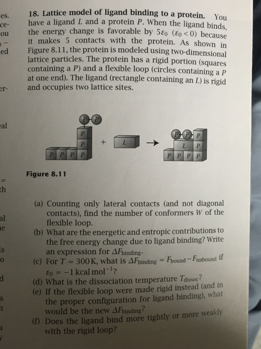 Lattice model of ligand binding to a protein. You | Chegg.com