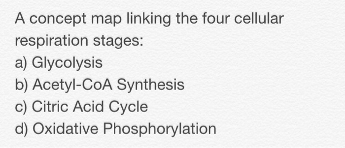 Solved A concept map linking the four cellular respiration | Chegg.com