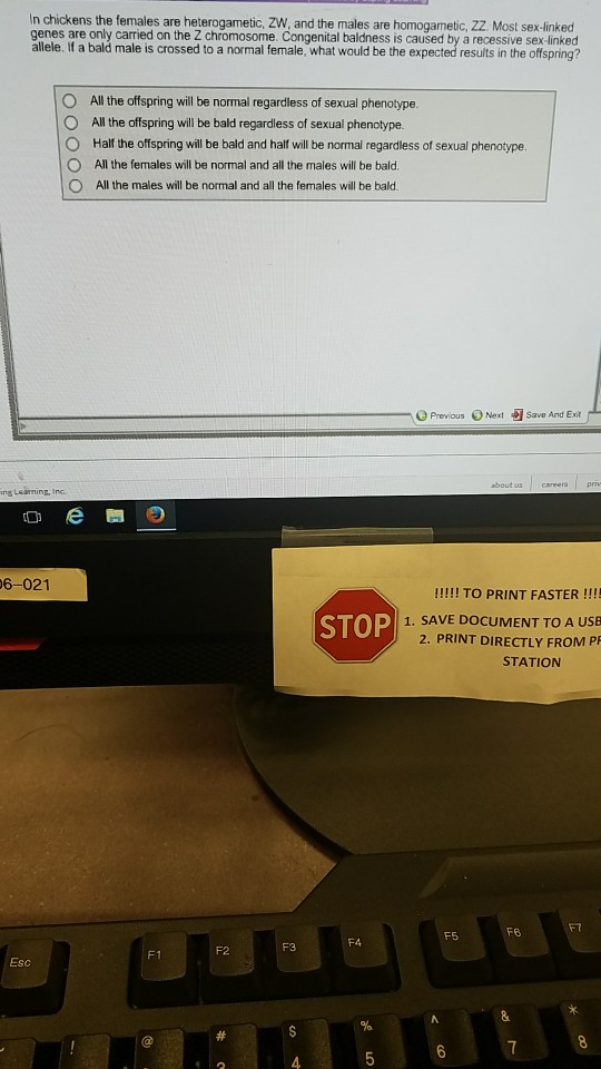 Solved In chickens the females are heterogametic, ZW, and | Chegg.com