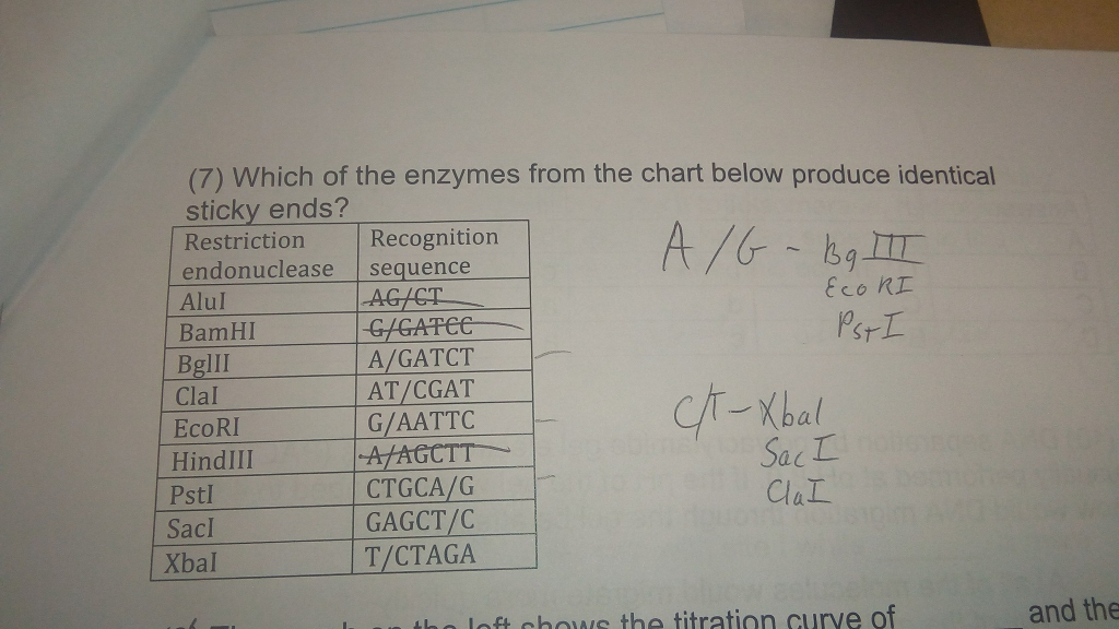 Solved (7) Which of the enzymes from the chart below produce | Chegg.com
