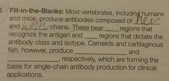Solved Fill-in-the-Blanks: Most vertebrates, including | Chegg.com