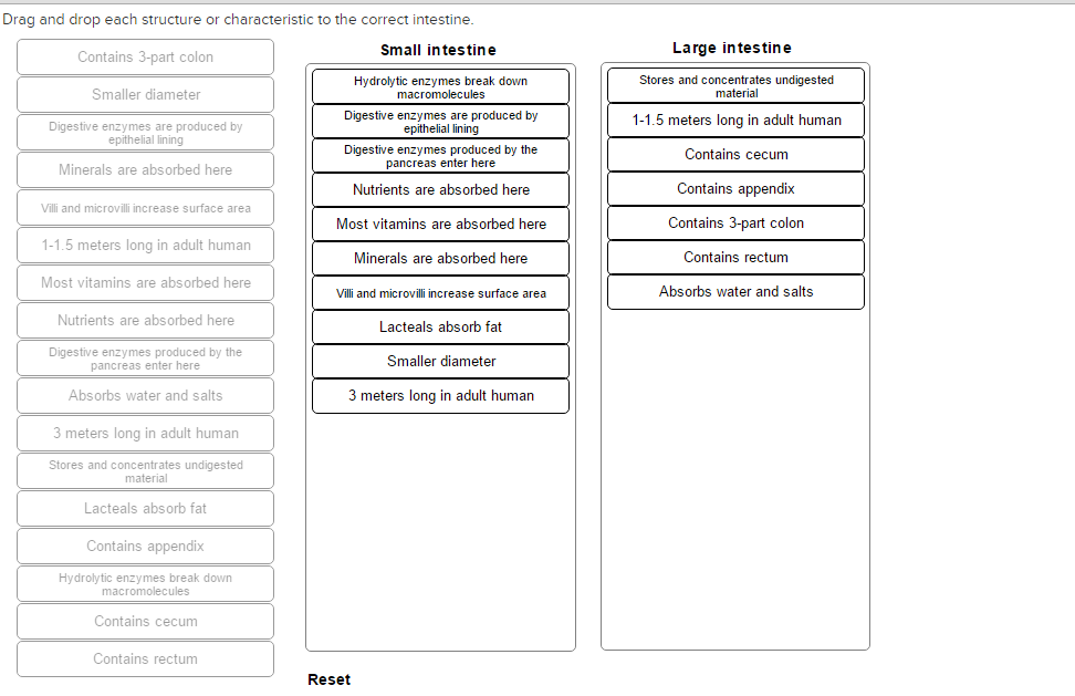 Solved Drag and drop each structure or characteristic to the | Chegg.com