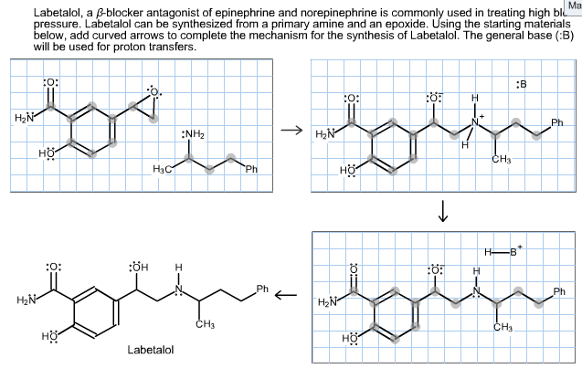 Solved Labetalol, a beta-blocker antagonist of epinephrine | Chegg.com