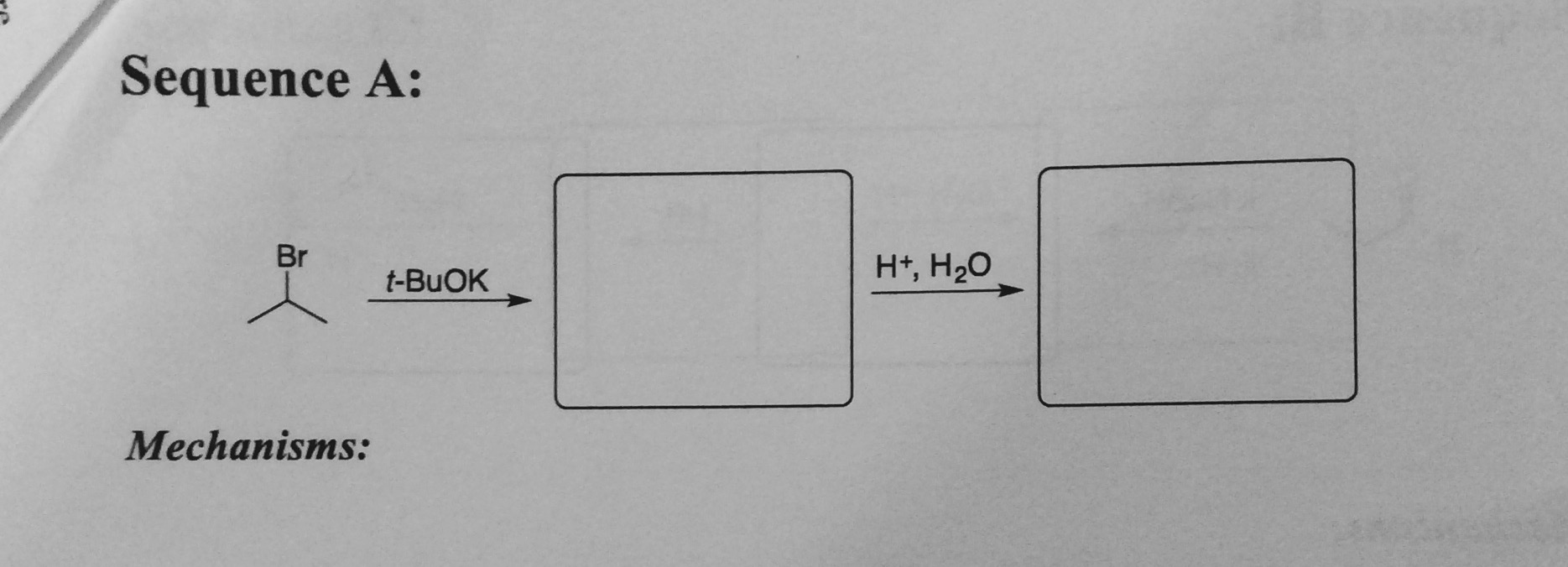 Solved Sequence A: Br t-BuOK Mechanisms H+, H2O | Chegg.com