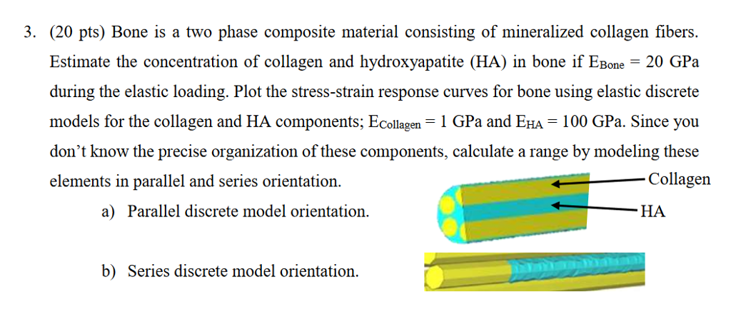 Solved 3. (20 pts) Bone is a two phase composite material | Chegg.com