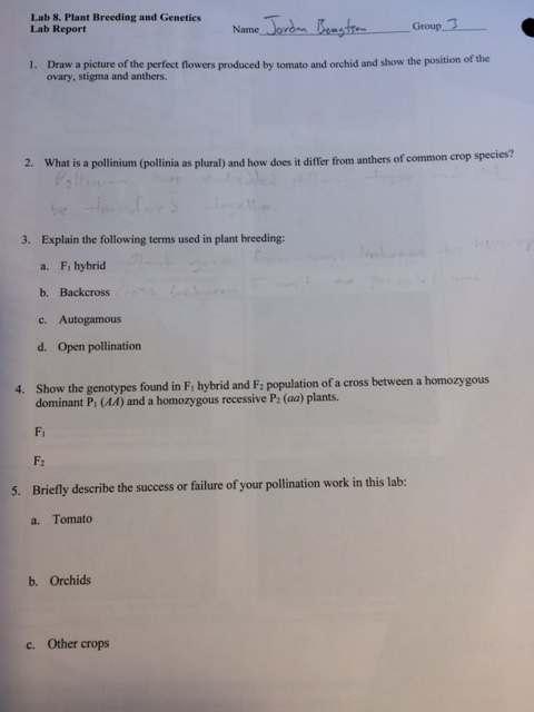 Solved Lab 8. Plant Breeding and Genetics Lab Report Name | Chegg.com