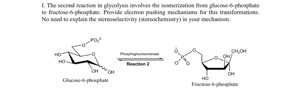Solved I. The second reaction in glycolysis involves the | Chegg.com