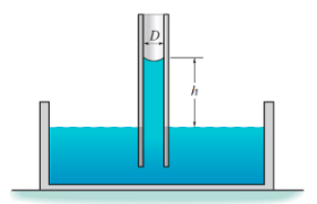 Solved Water in the glass tube is at a temperature of 40°C. | Chegg.com