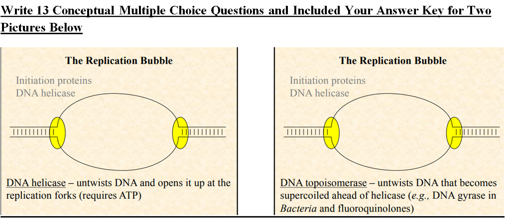 Solved Note: Write 13 Conceptual Multiple Choice Questions | Chegg.com
