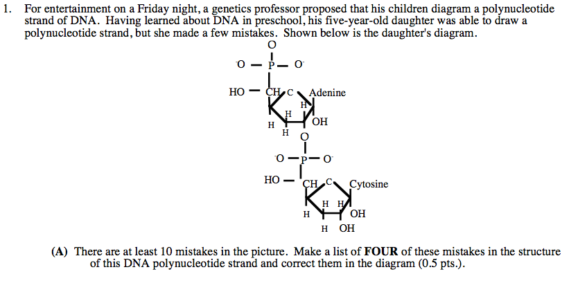 Polynucleotide Strand