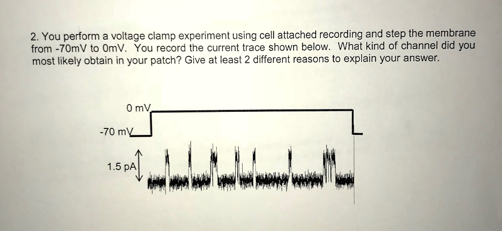 Solved 2. You perform a voltage clamp experiment using cell | Chegg.com