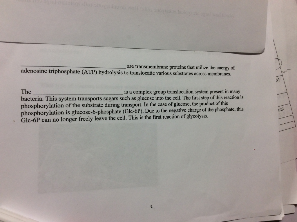 Solved adenosine triphosphate (ATP) hydrolysis to | Chegg.com