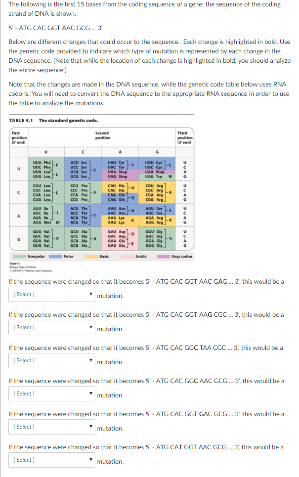 Solved The following is the first 15 bases from the coding | Chegg.com