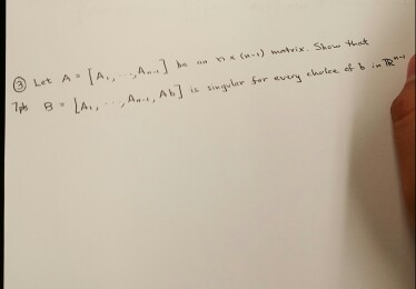 Solved Let A = [A_1,...,A_n-1] be an n x (n-1) matrix. Show | Chegg.com