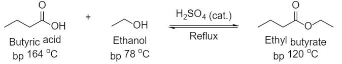 Ethyl Butyrate Synthesis
