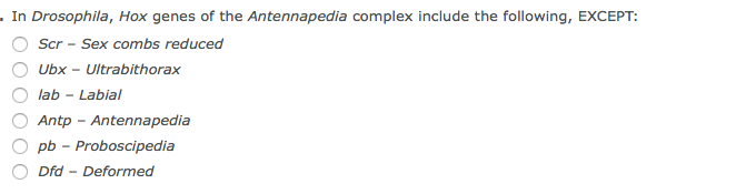 Solved Ubx -Ultrabithorax O lab -Labial Antp-Antennapedia | Chegg.com
