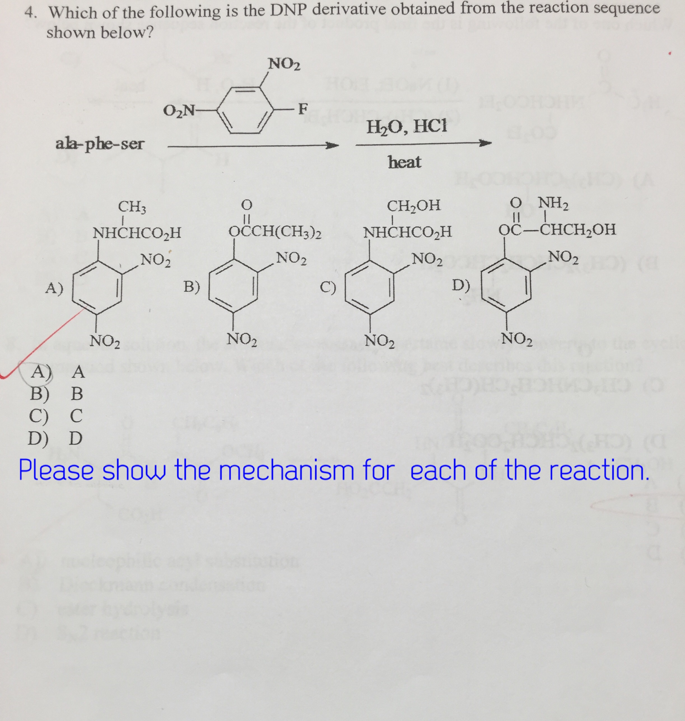 Solved Which of the following is the DNP derivative obtained | Chegg.com