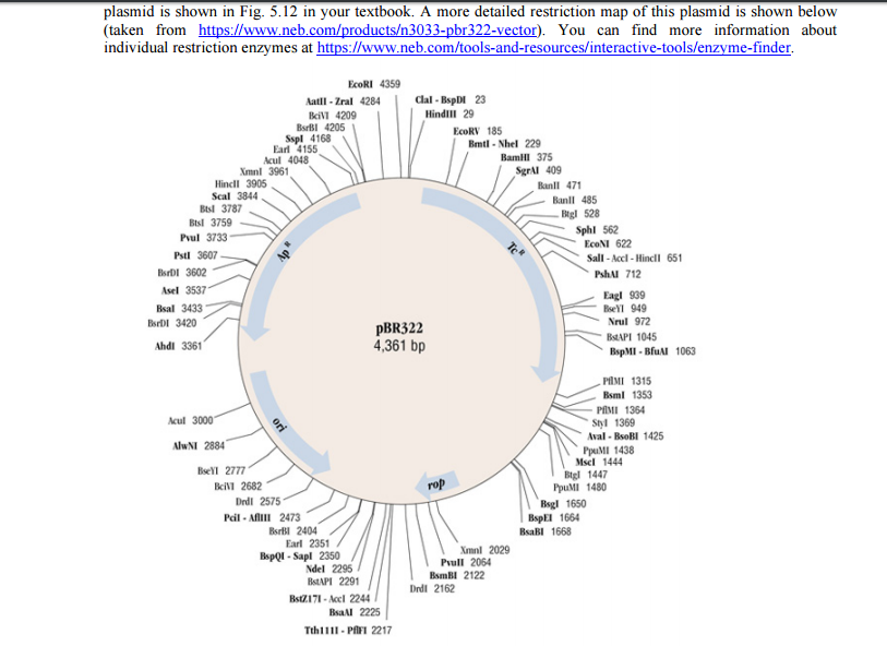 Solved plasmid is shown in Fig. 5.12 in your textbook. A | Chegg.com
