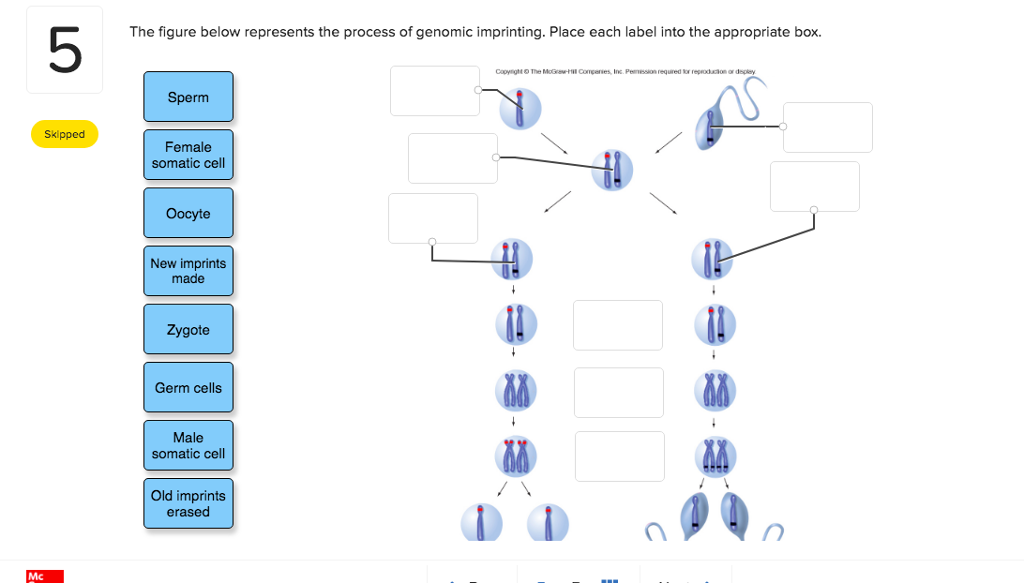 Solved 3 Determine whether each description refers to the X | Chegg.com