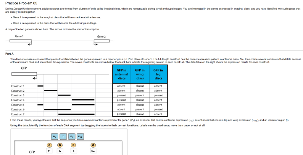 Solved Use the expression data for constructs 8 - 13 from | Chegg.com