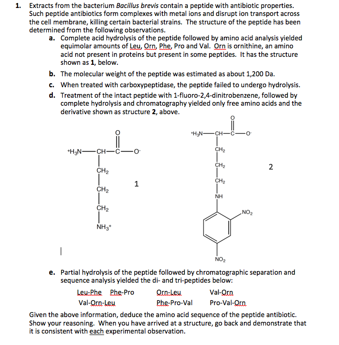 Solved Extracts from the bacterium Bacillus brevis contain a | Chegg.com