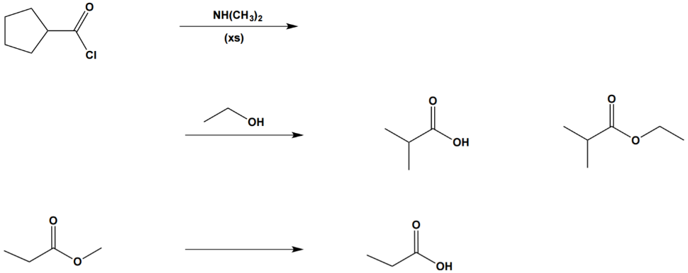 Solved CI NH(CH3)2 (xs) OH OH OH | Chegg.com