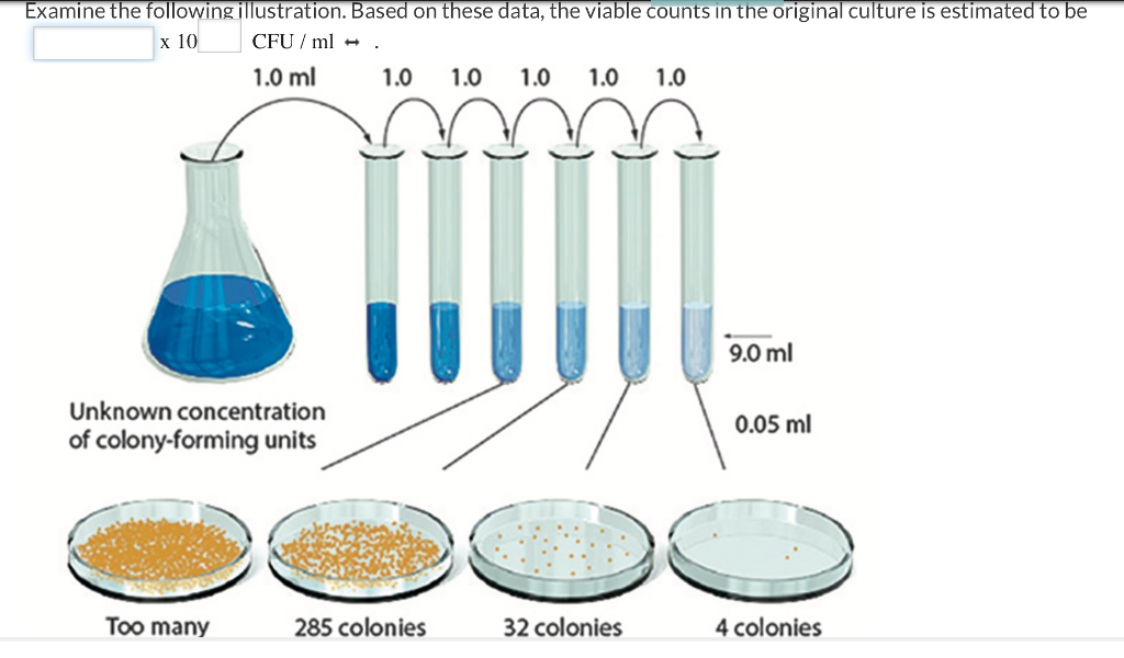 Solved Examine the following illustration. Based on these | Chegg.com Solved Examine the following illustration. Based on these | Chegg.com