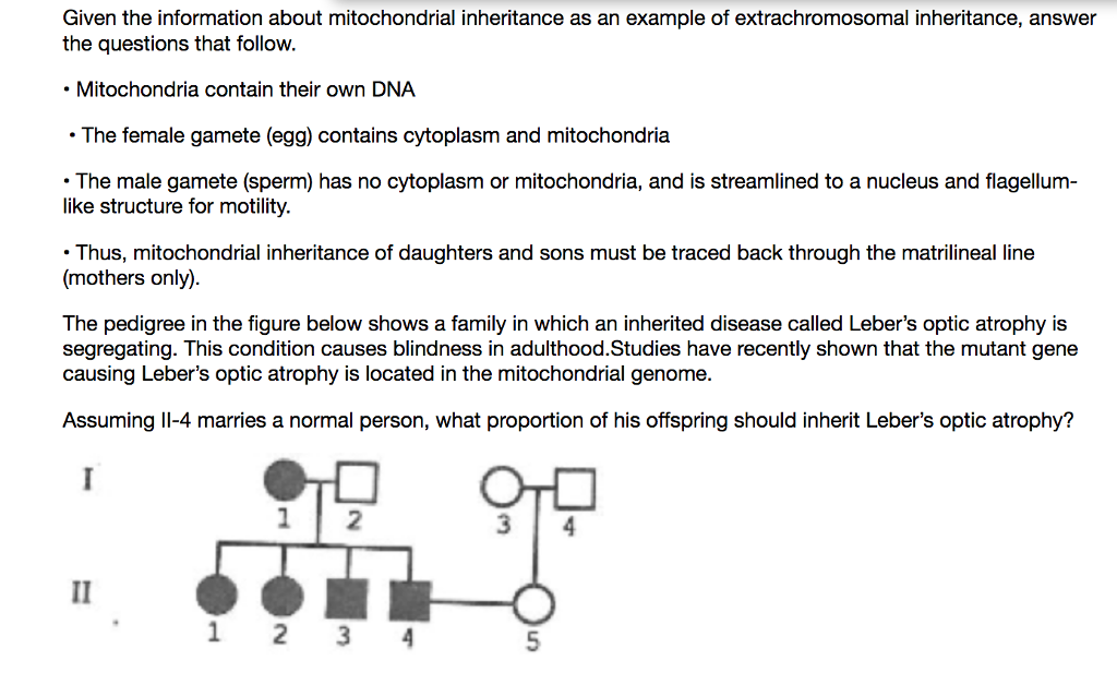 Solved Given the information about mitochondrial inheritance | Chegg.com