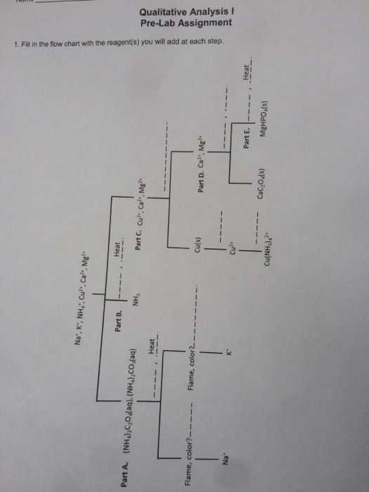 Solved Qualitative Analysis I Pre-Lab Assignment 1. Fill in | Chegg.com