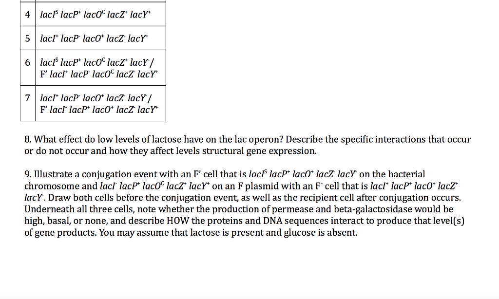 Solved Lac operon questions for recitation. For the | Chegg.com