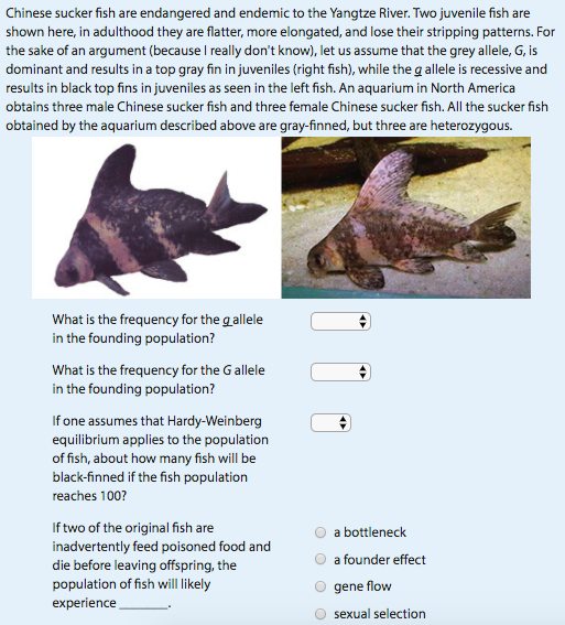 Solved Chinese sucker fish are endangered and endemic to the | Chegg.com