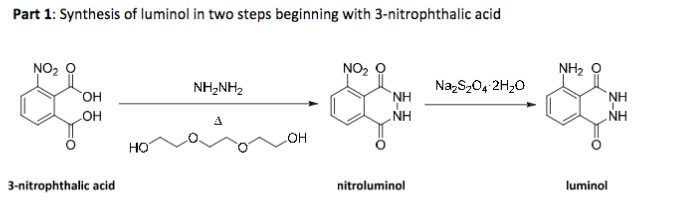Solved Luminol experiment: 1. What inorganic redox | Chegg.com