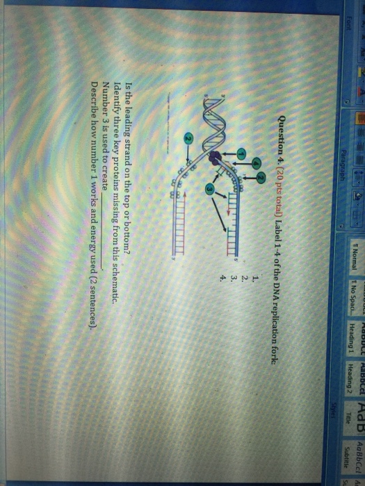 Solved Label 14 of the DNA replication fork; Is the leading | Chegg.com