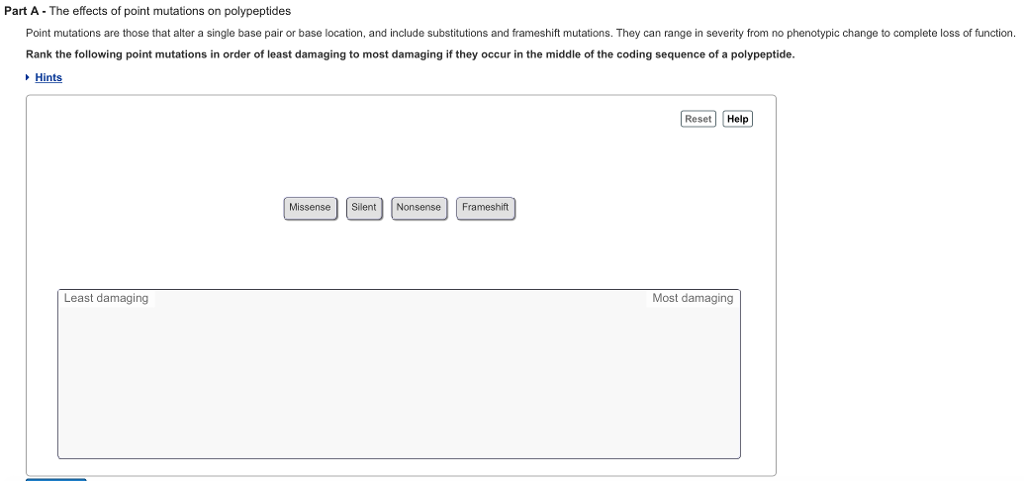 Solved Part A-The effects of point mutations on polypeptides | Chegg.com