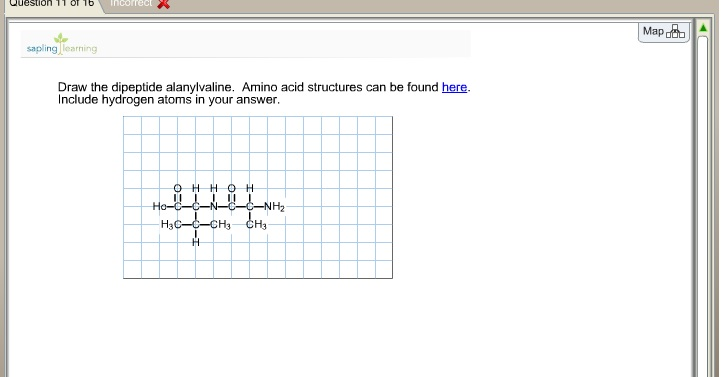 Solved Draw the dipeptide alanylvaline. Amino acid | Chegg.com